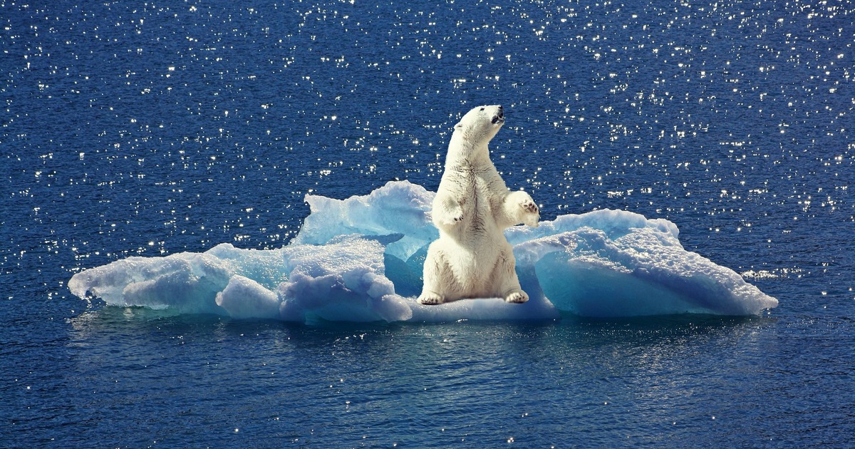 Der Klimawandel - was ist das eigentlich?